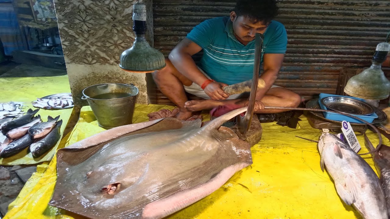 stingray fish cutting |stingray fish cutting skills|stingray fish ...