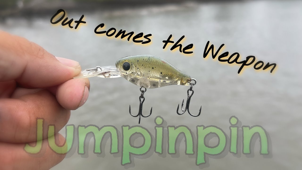 Out Comes the Weapon! @ Jumpinpin - YouTube
