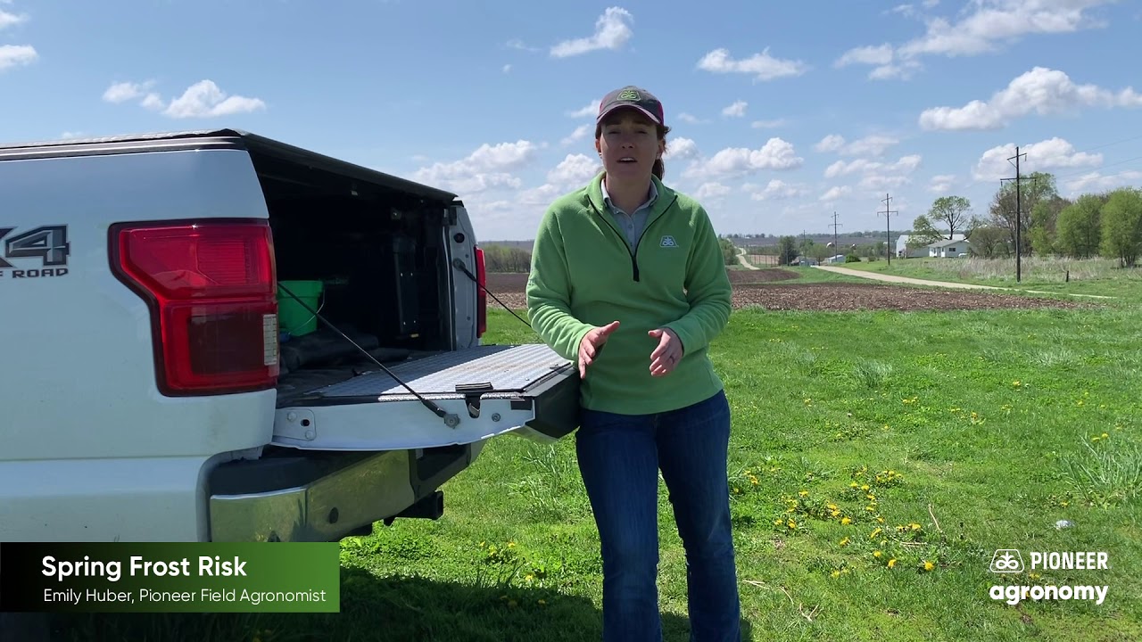 How to Know if Your Crops are at Risk for Frost Damage - YouTube