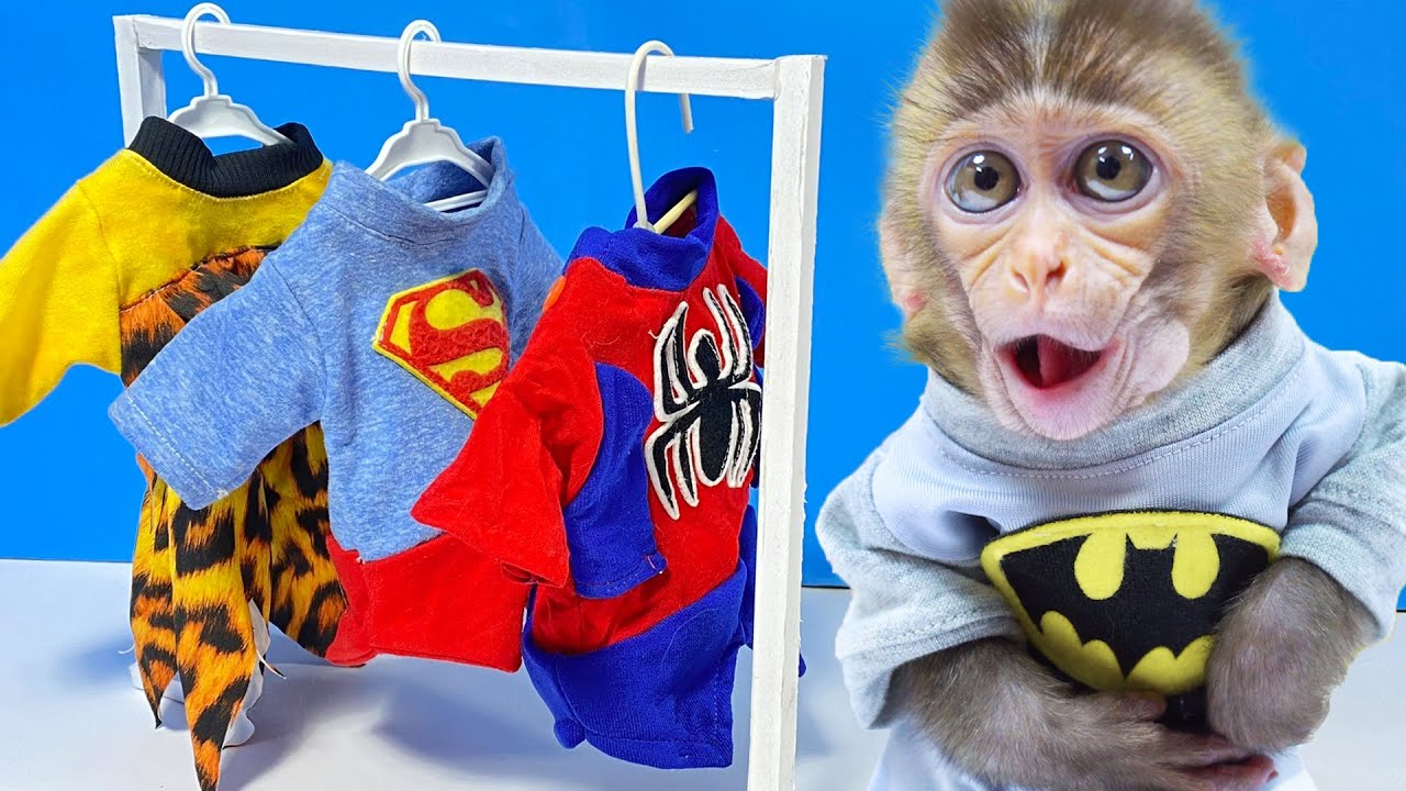 BiBo monkey go shopping for clothes and give gifts to Cheese cats ...