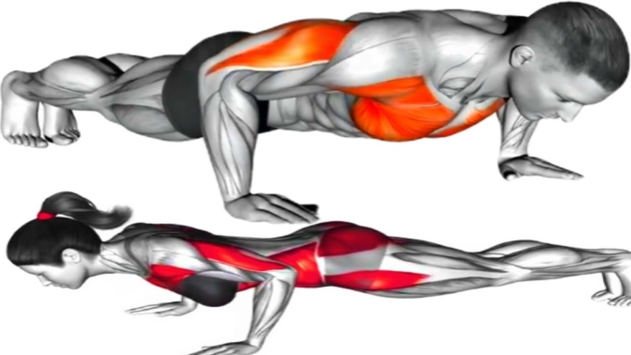 🔥 5 Best Push-Up Exercises for a Bigger Chest – Guaranteed Muscle ...