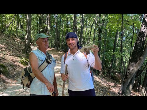 Bosnian jungle 🍃 Alen Delic #brcko #majevica #rainforest #snake # ...