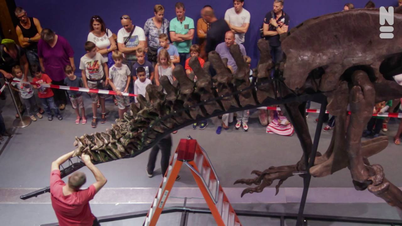 Timelapse opbouw T. rex Trix - YouTube