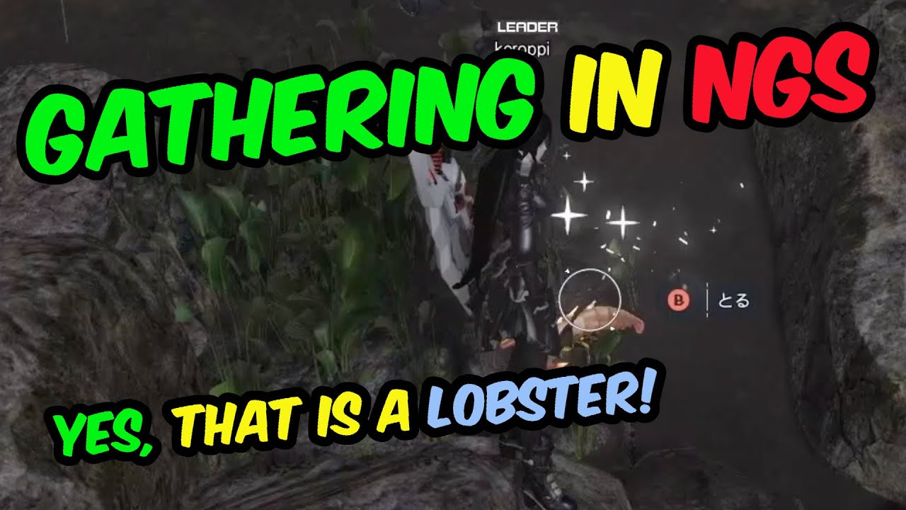 [PSO2:NGS] Gathering Explained - YouTube
