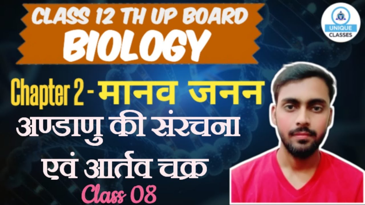CLASS 12TH |UP BOARD BOARD | BIOLOGY | CHAPTER-02 | मानव जनन तंत्र ...