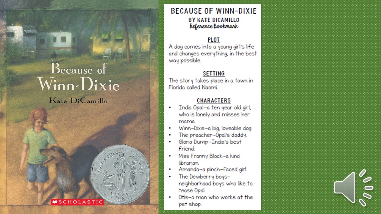 Chapter 1 Because of Winn Dixie - YouTube