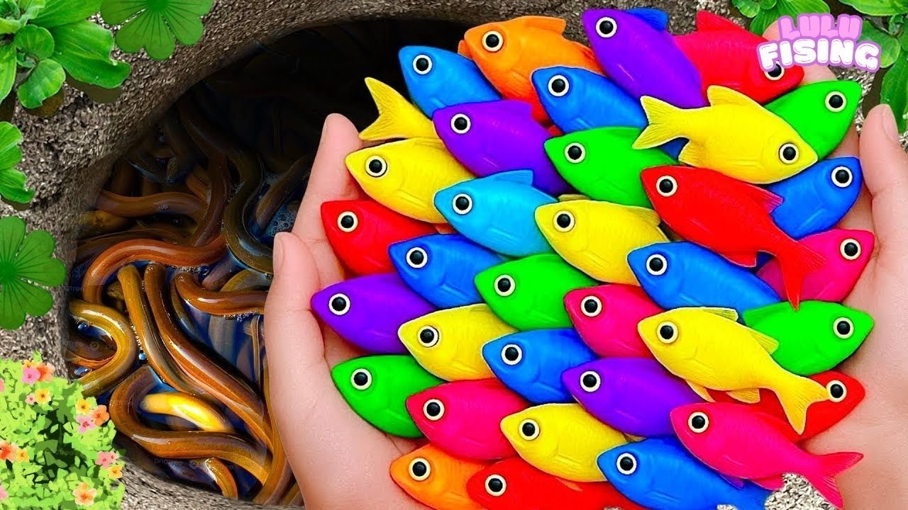 Great for catching beautiful aquarium fish in small ponds, Koi carp ...