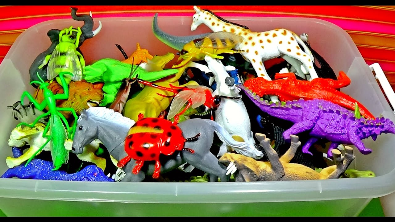 Learn animals and colors Happykids Box with animals - YouTube