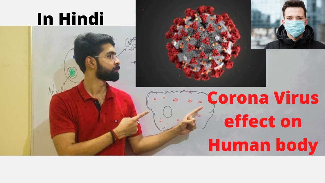 How does corona virus affect human body | Mode of action of corona ...