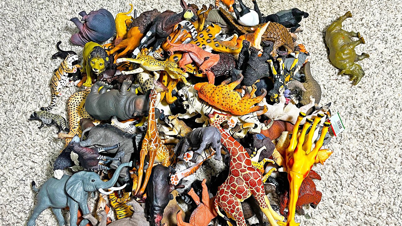 Wild Animals, African Animals & Australian Animals Collection - YouTube