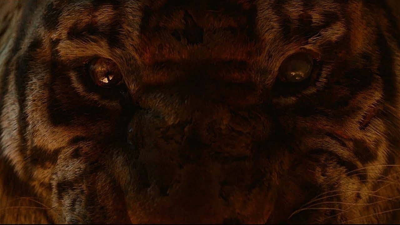 Shere Khan Eye Of The Tiger Hd Youtube