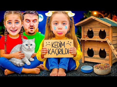 ELİF SİNEM TAKİPÇİSİNİN KEDİSİNİ KAÇIRDI ‼️