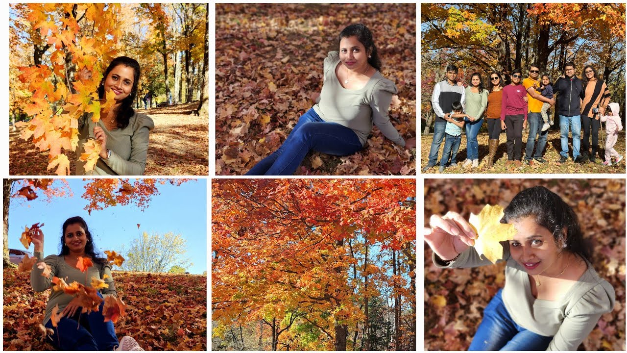 Fall Foliage 🍁🍂/ Beautiful Fall Colour / Pere Marquette State Park ...
