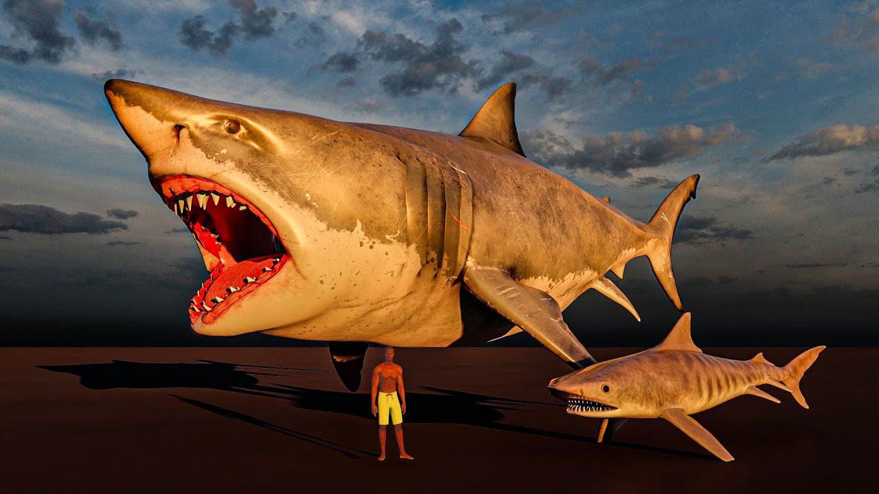 Smallest vs Biggest Animal comparison - YouTube