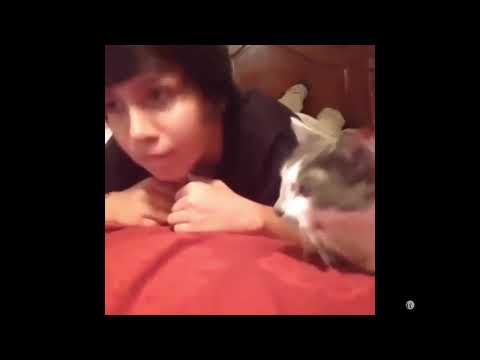 Funny animals that will make you pee your pants in laughter