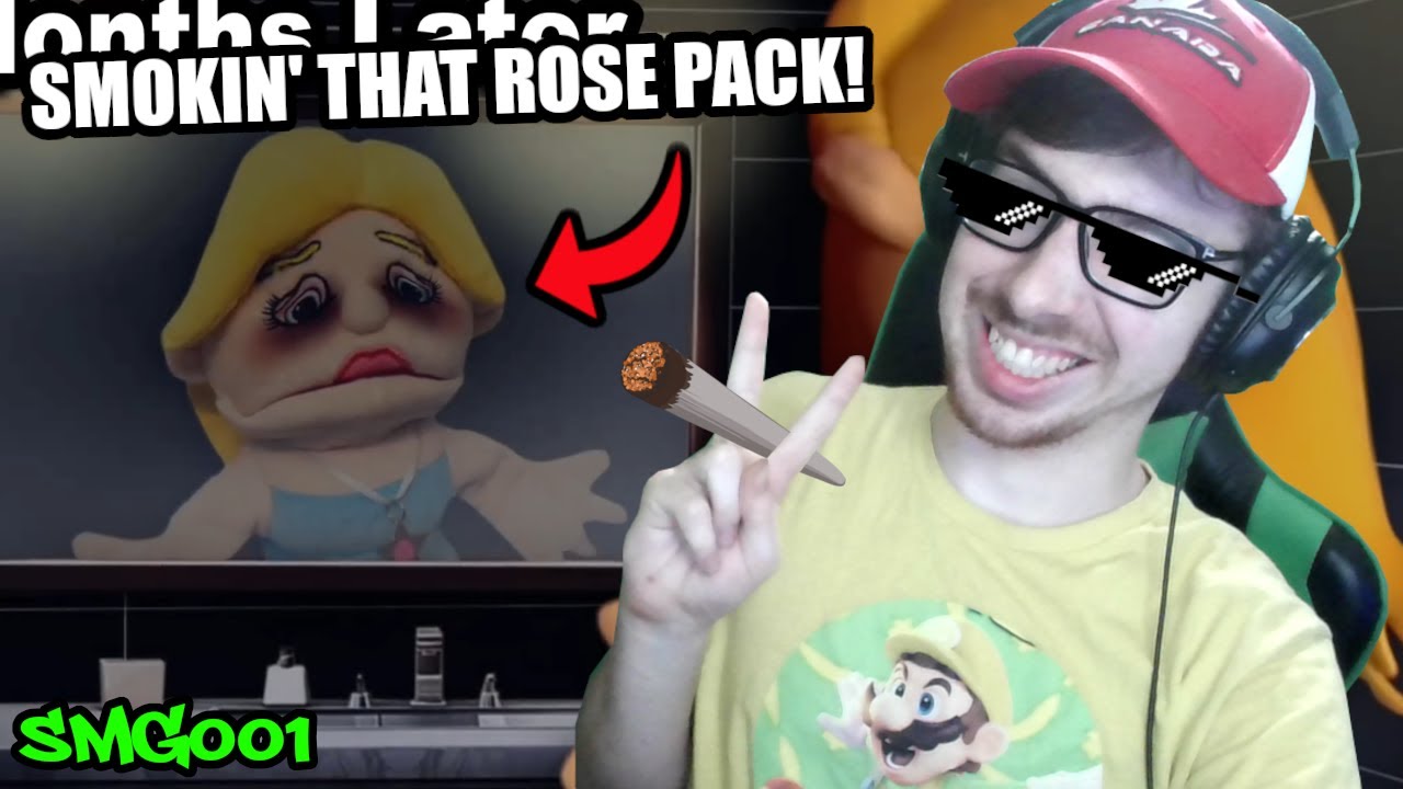 NOTHING A VALUE WAS LOST! | Glider - SML YTP: Rose Has Cancer! Reaction ...