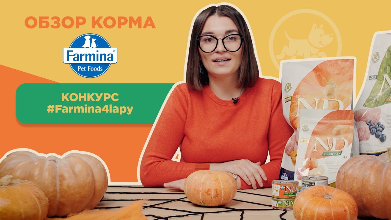 Обзор корма Farmina - YouTube