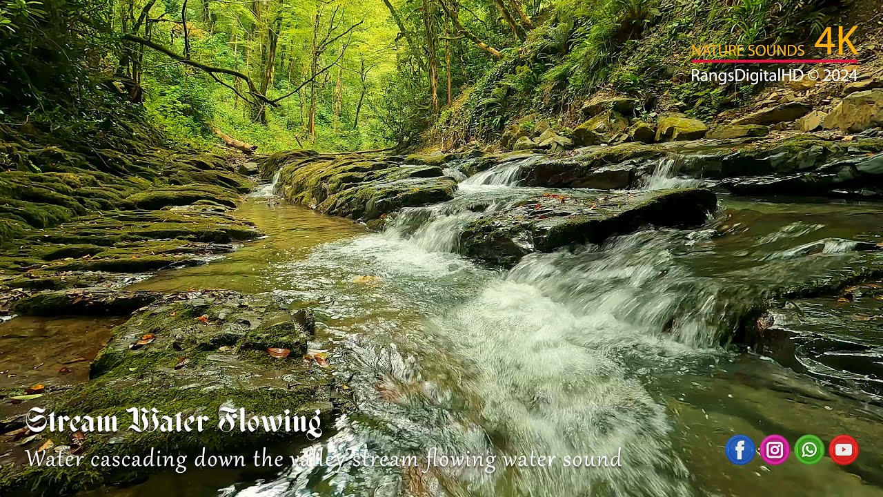 Flowing Water Sound Cascading Down the Valley for Relaxing Studying and ...