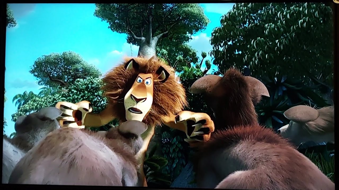 Madagascar (2005) Alex Scares The Fossas Away (Scene) - YouTube