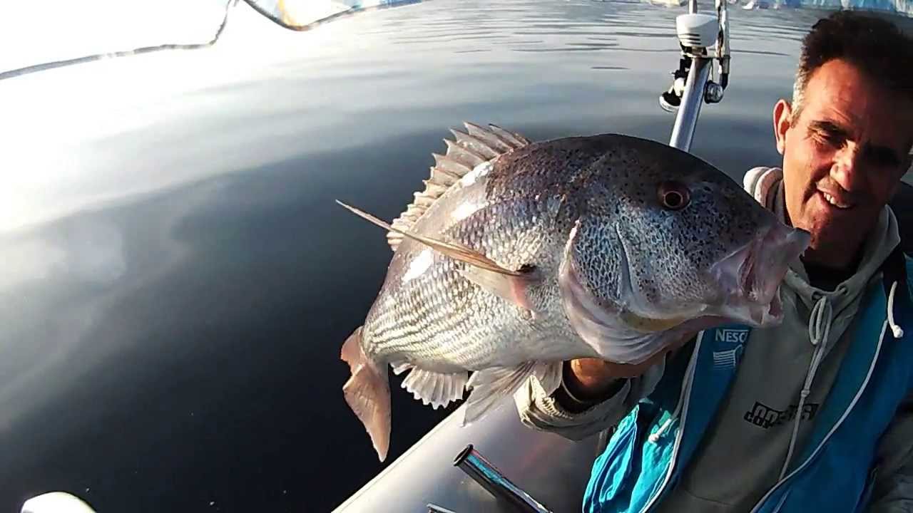 dentex,106 απο τον soto για ολους τους φιλους sotos fishing - YouTube