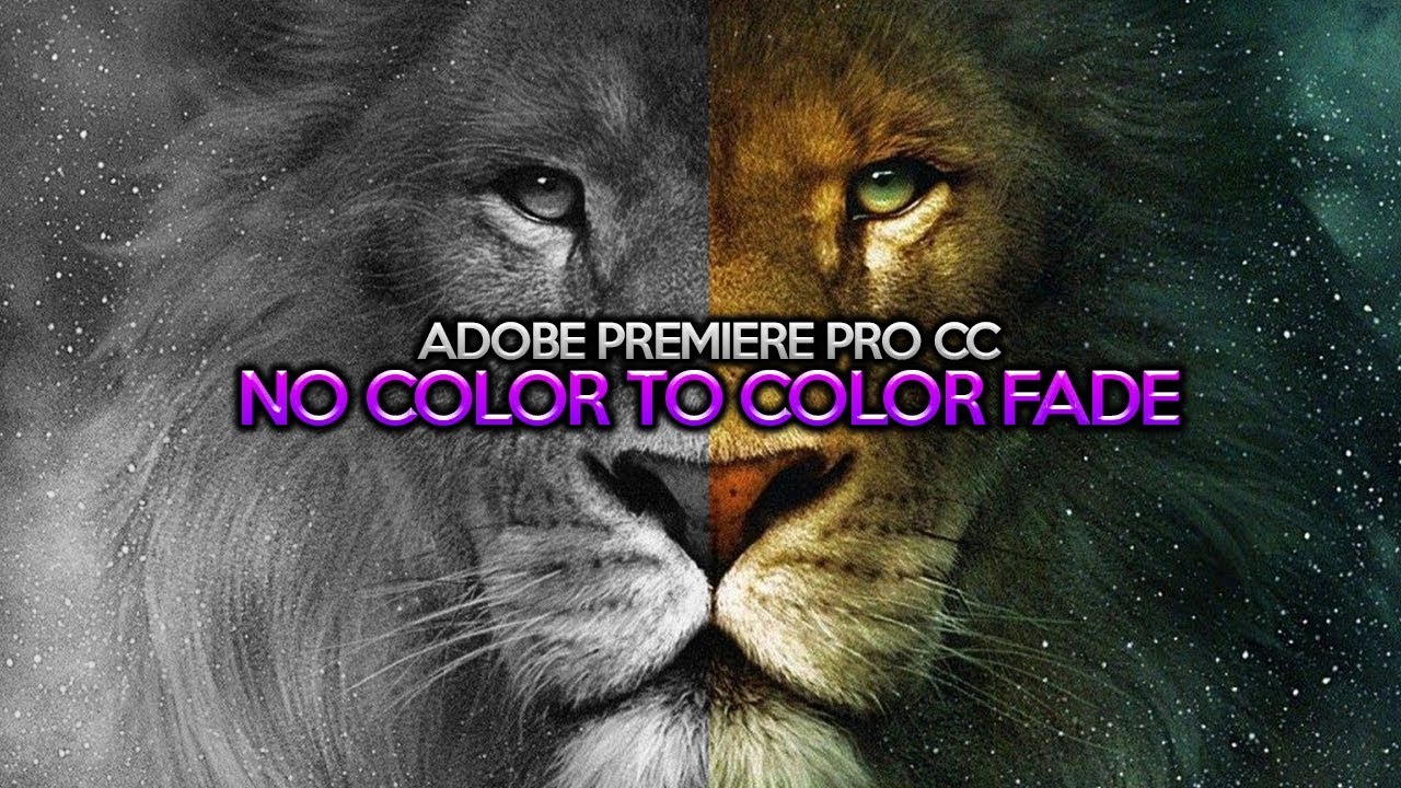 How To No Color To Color Fade In Adobe Premiere Pro CC YouTube how-to-no-color-to-color-fade-in-adobe-premiere-pro-cc-youtube