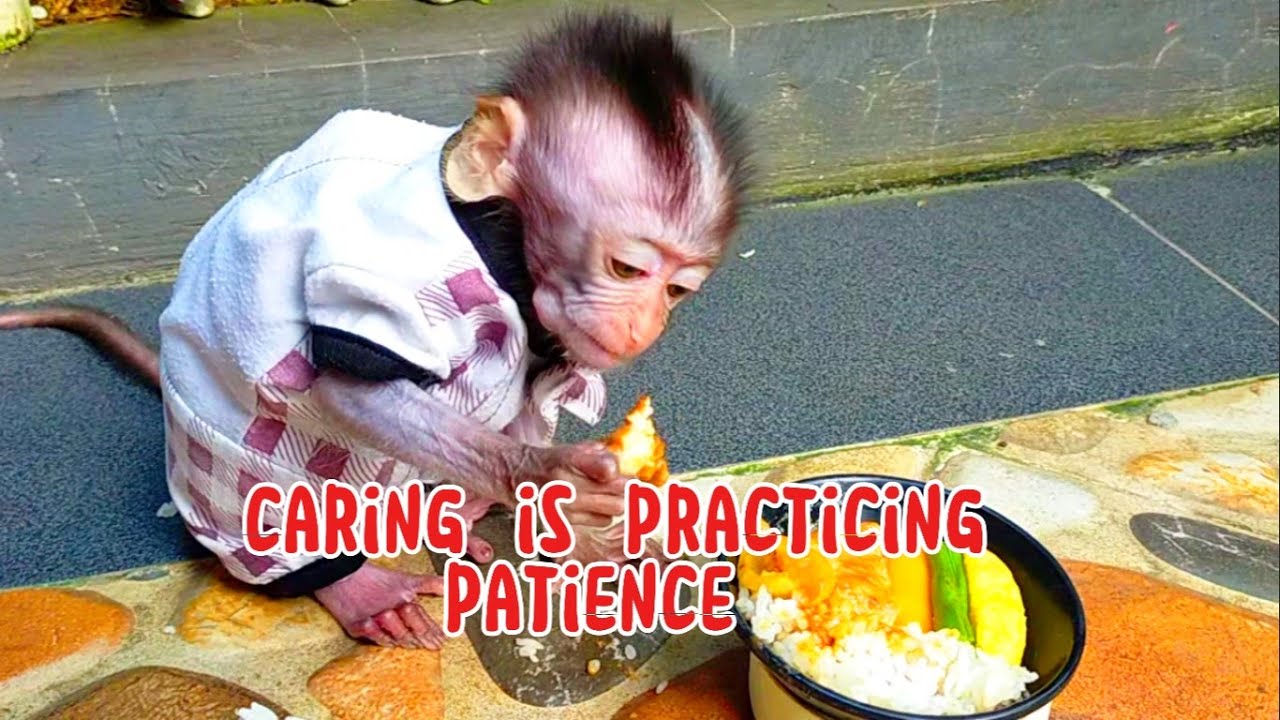 caring is practicing patience - YouTube