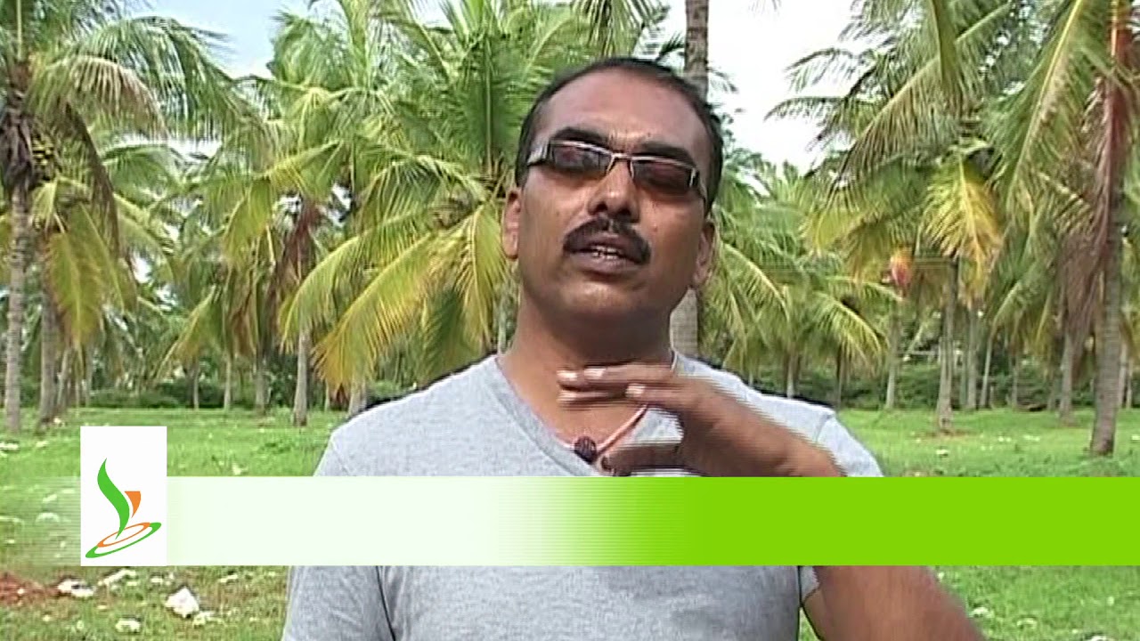 Photosynthetic stimulator technology for coconut revival - Jagadeesh B ...