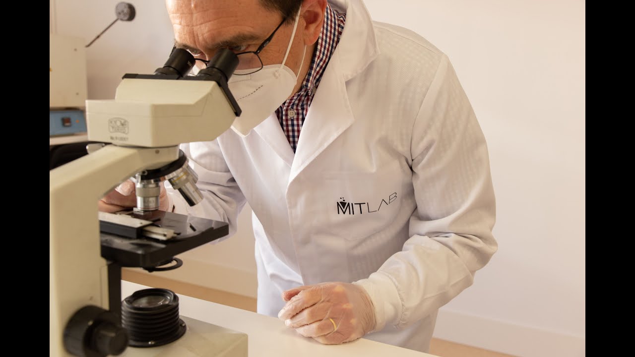 MITLAB-Formación - YouTube