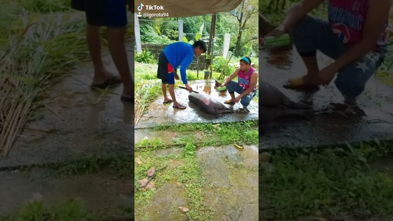 Mumbaki igorot traditional para mananatili ang swerte - YouTube