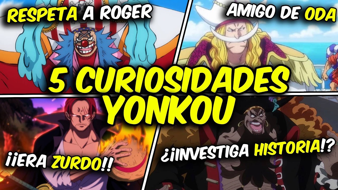 5 INCREÍBLES CURIOSIDADES de cada YONKOU | One Piece - YouTube