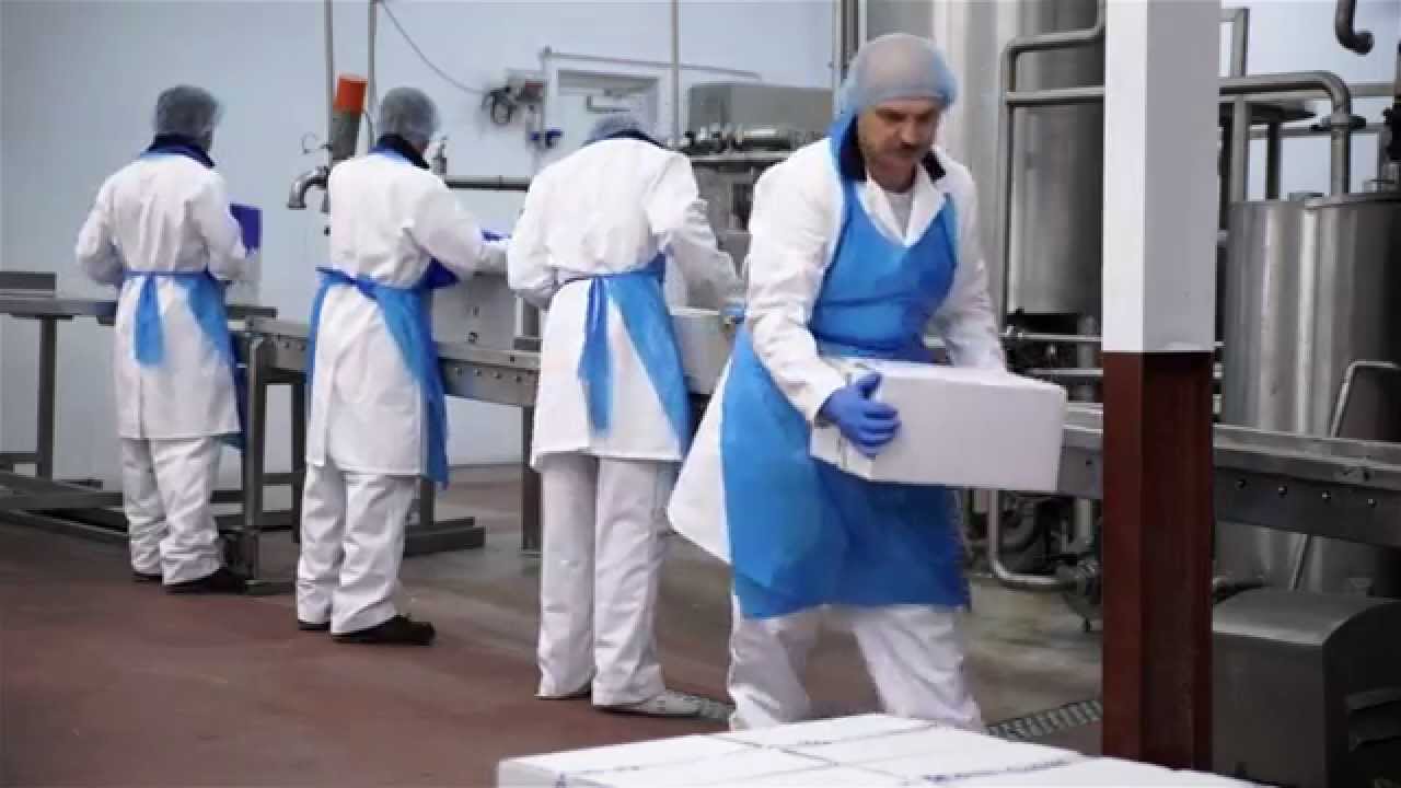 Dansko Foods Limited - YouTube