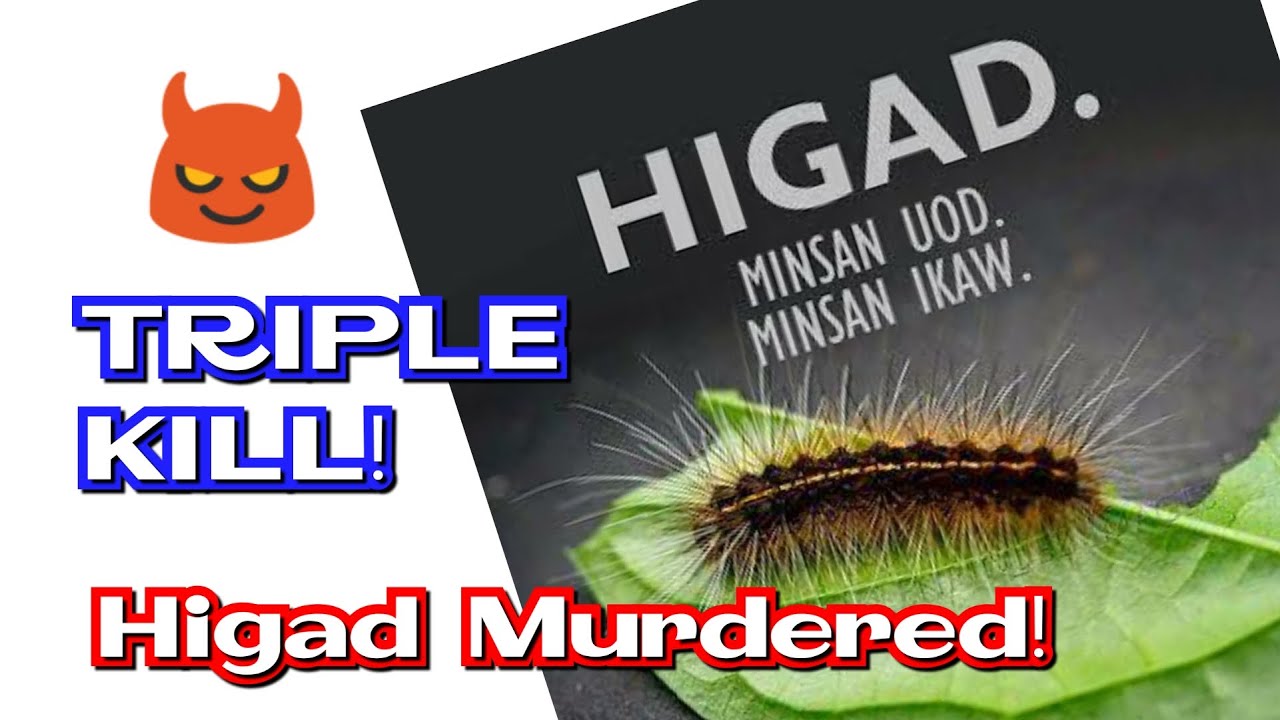 Higad Murdered | Triple killed Higad - YouTube