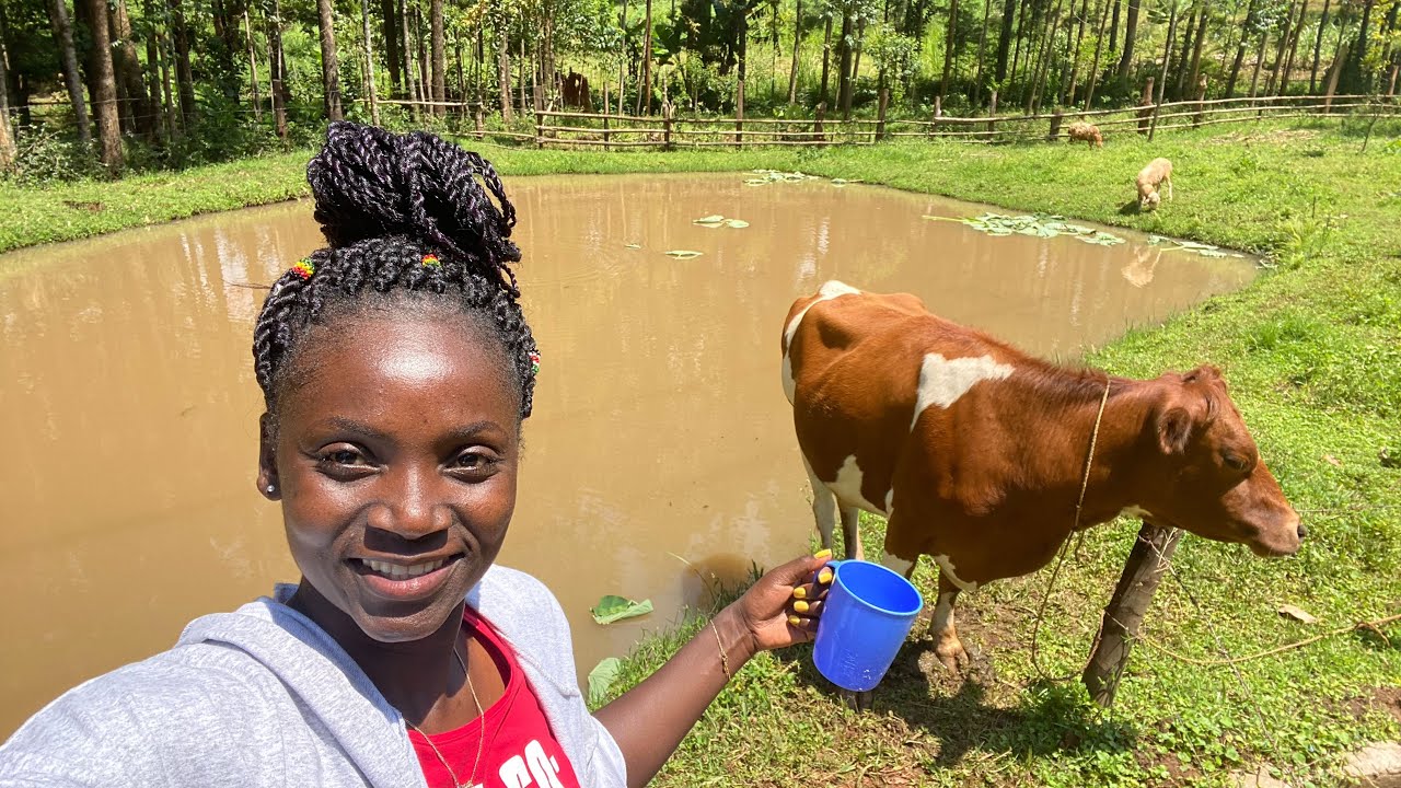 Road Trip to my village (kisii land) - YouTube