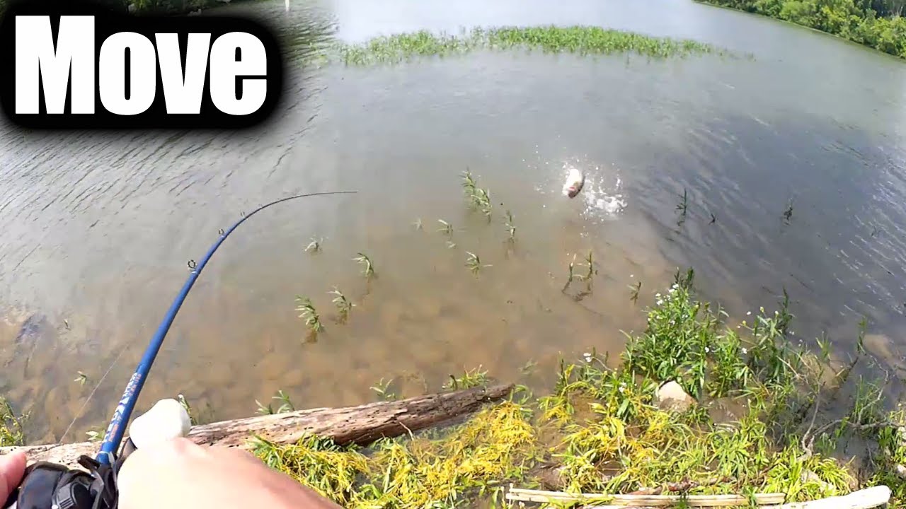 Move Around when Fishing for Bass - Realistic Bank Fishing Tips - YouTube