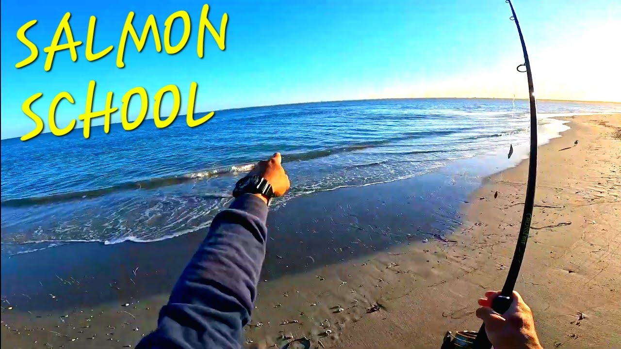 BEACH FISHING | Incredible Fishing at the Beach Caught Multi Species ...