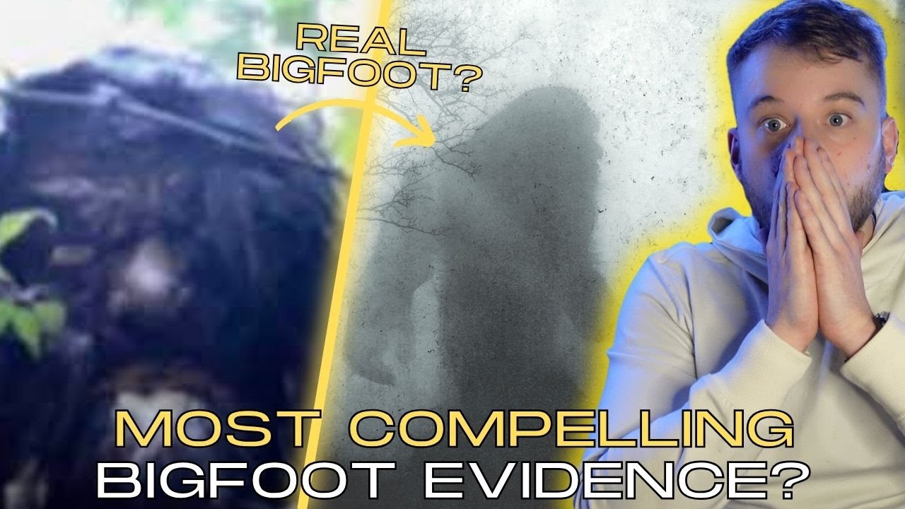 Bigfoot Evidence So Compelling Professionals Are In Disbelief! - YouTube