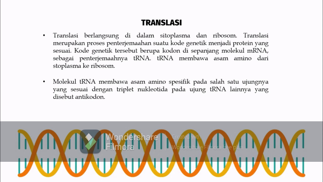 Alur Informasi Genetik, Ekspresi Gen, dan Pewarisan Sifat - YouTube