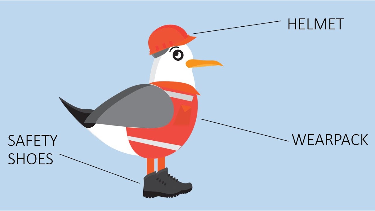 PPE on board ship - YouTube