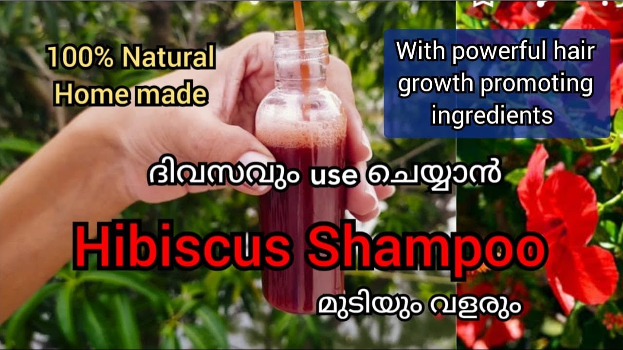 Homemade Hibiscus Shampoo for extreme Hair Growth |മുടി വളരാന്‍ 100% ...