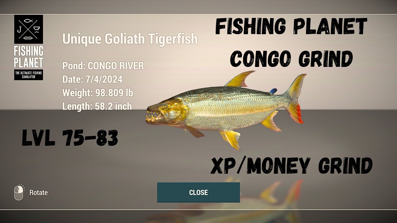 Unique Goliath Tigerfish XP/Money | Fishing Planet Congo River - YouTube
