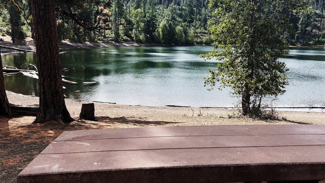 REVIEWING EACH CAMPSITE @ Scout Lake Campground + EPIC Day Use Area ...