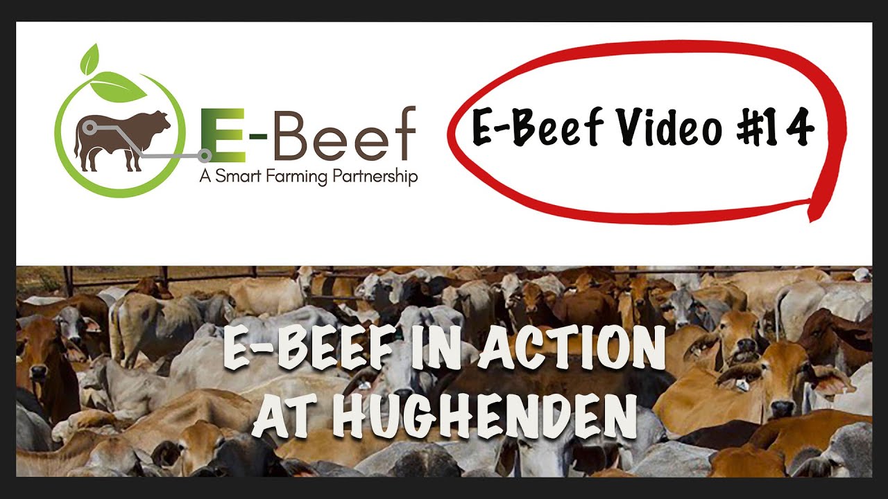 FRANK & TENILLE ATHERTON AT REDCLIFFE, HUGHENDEN - YouTube