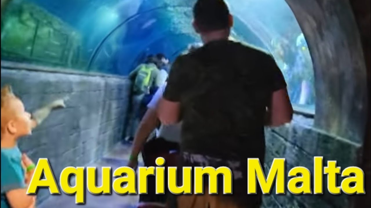 Malta Narodowe Akwarium, Malta National Aquarium - YouTube