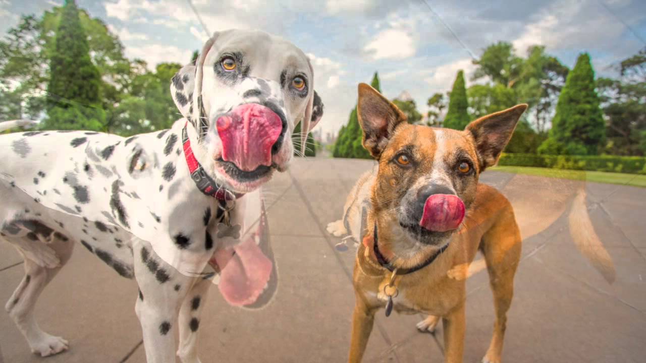 Jackson and Tayla Slideshow - YouTube
