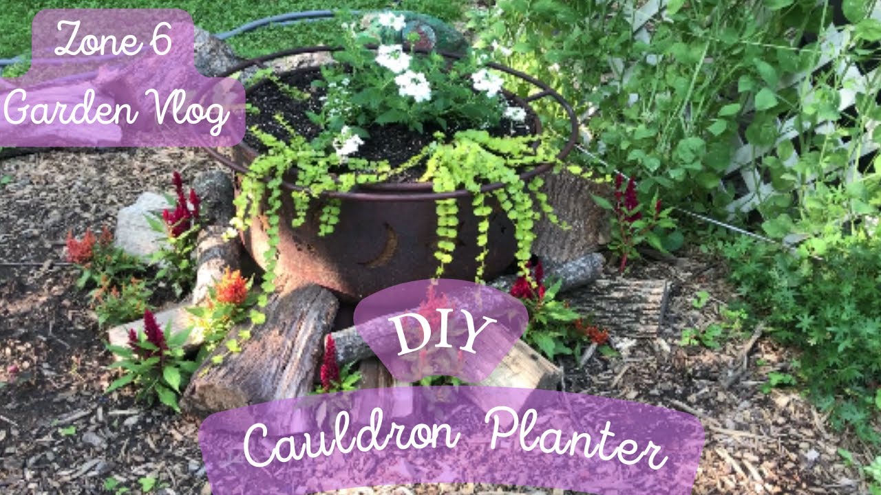 DIY Cauldron Planter using old fire pit! Zone 6 Cottage Garden Vlog ...