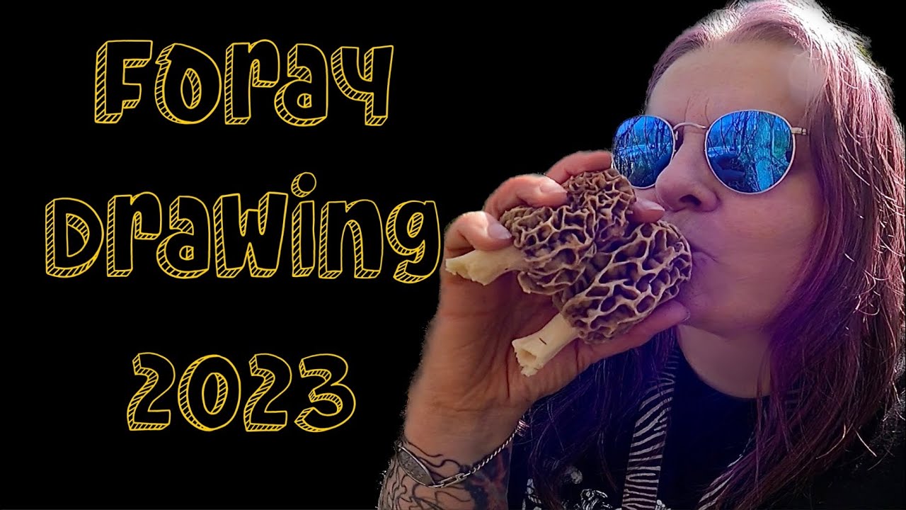 Morel Mushroom Foray Drawing 2023 - YouTube