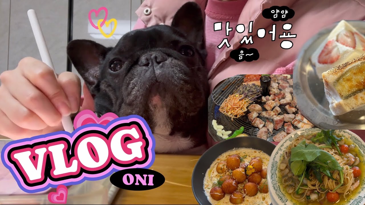 Vlog 하루종일 먹기만 하는 직장인 브이로그 귀여운 프렌치불독과 함께 창원오브셀라캔럿스튜디오만재네현풍닭칼국수진해빈집