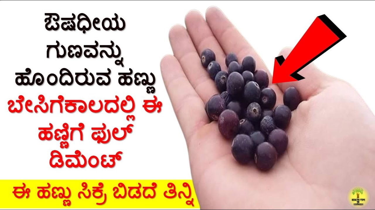 Kavale hannu upayoga | ಔಷಧೀಯ ಗುಣವನ್ನು ಹೊಂದಿರುವ ಹಣ್ಣು ಬೇಸಿಗೆಕಾಲದಲ್ಲಿ ಈ ...