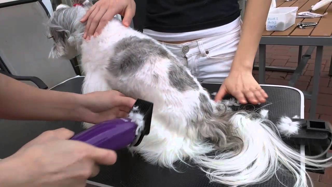 Getting My Body Trim - YouTube