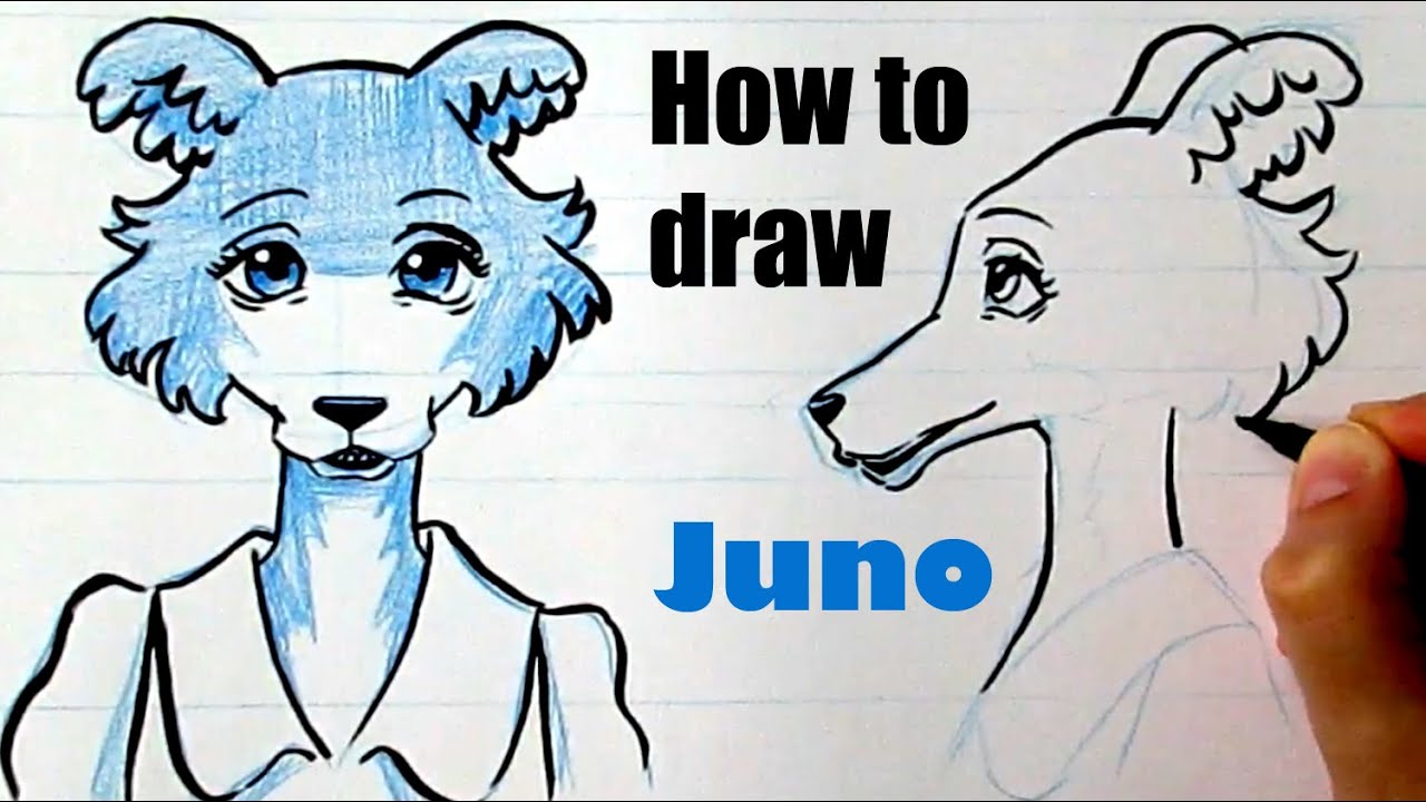 HOW TO DRAW JUNO from Beastars FACE AND PROFILE - YouTube